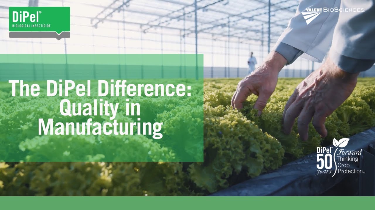 The DiPel Difference: Quality in Manufacturing - YouTube