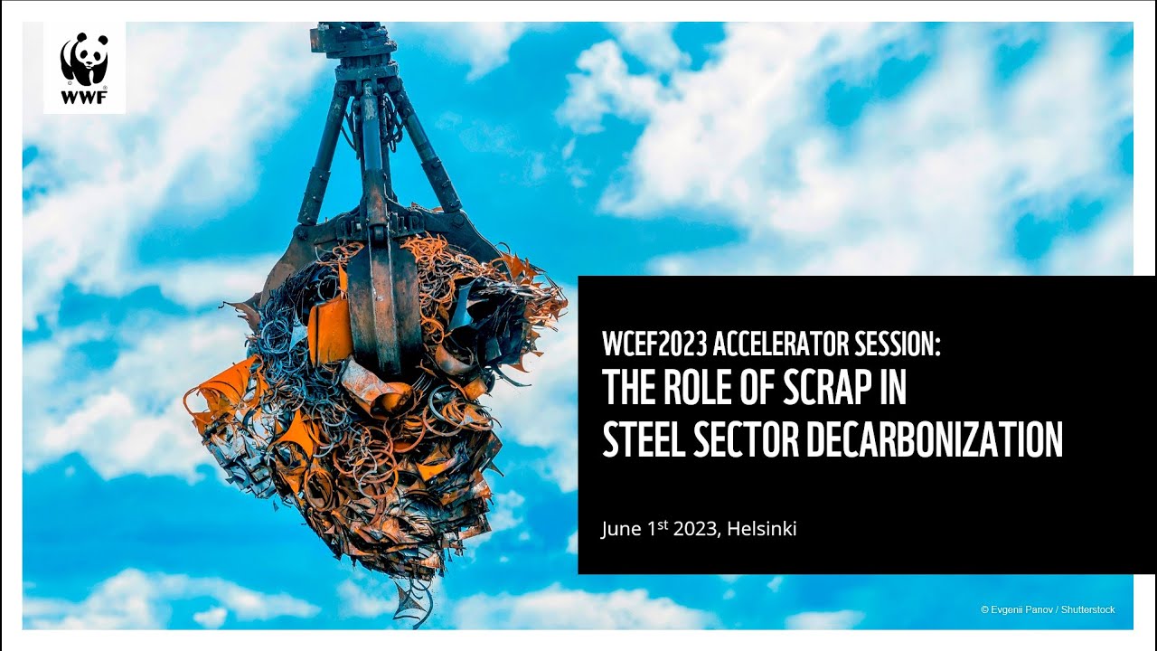 The Role of Scrap in Steel Sector Decarbonization - WWF Finland, June1 ...