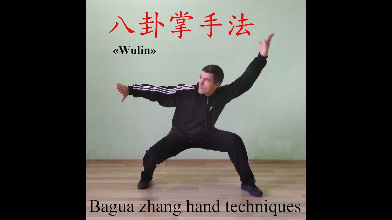 Bagua zhang Shou fa hand techniques PART 1 Wulin Dnipro 八卦掌手法 - YouTube