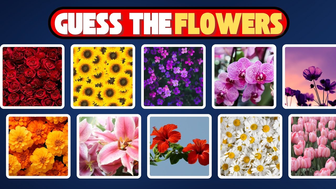 GUESS THE FLOWERS 🌼🌻🌺🪷 || FLOWER GUESSING IN 5 SECONDS || EASY FLOWER ...