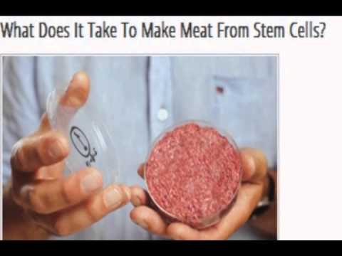 Meat Made from Stem Cells! - YouTube