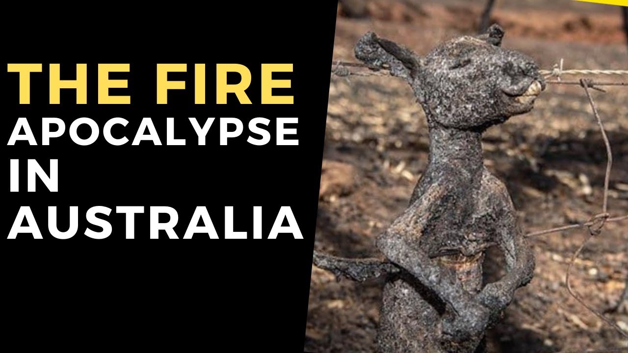 The Fire Apocalypse in Australia | Indiatimes - YouTube