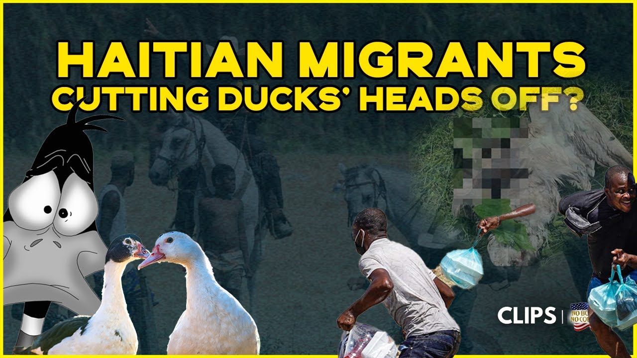 Migrants Overrun Springfield, Ohio -- Should Pet Owners Worry? - YouTube