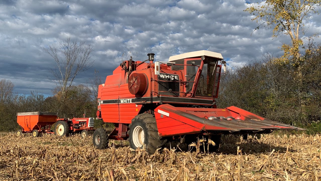 White 8700 Combine: Corn Harvest 2021 - YouTube