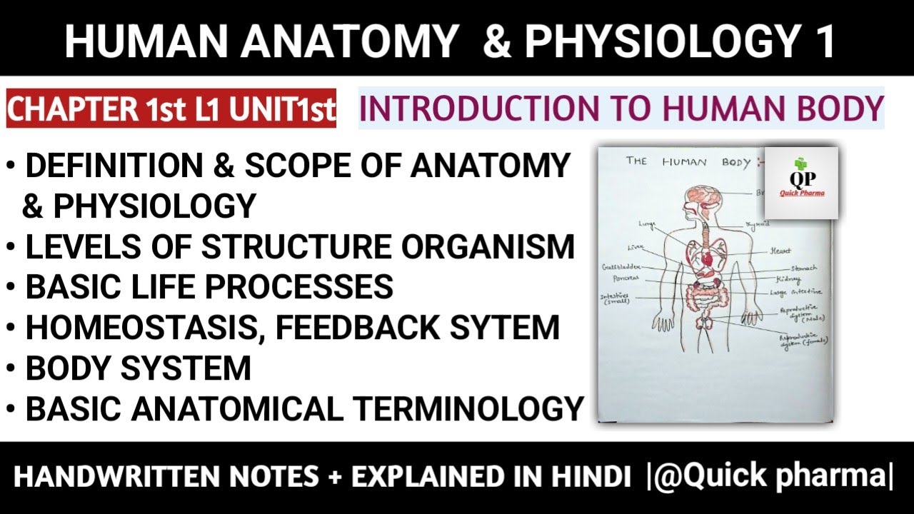 Introduction to the Human Body |Ch 1| complete |Unit1 | hap 1st ...