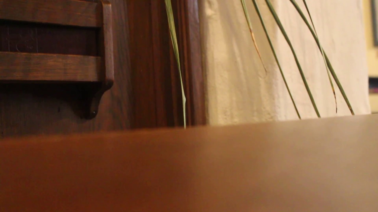 Lutheran Service Book #443, "Hosanna, Loud Hosanna" - YouTube