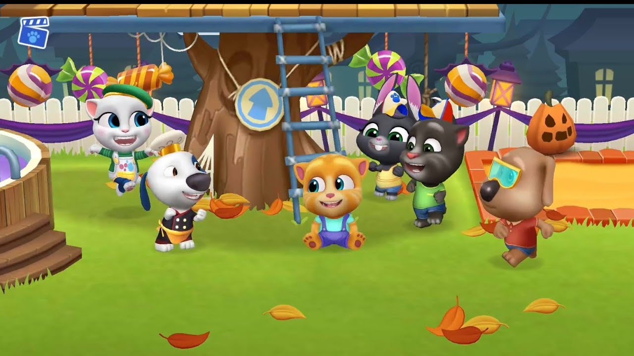 KUCING TOM,ANGELA,HANK,BECCA,BEN KEDATANGAN TEMAN BARU KUCING GINGER ...