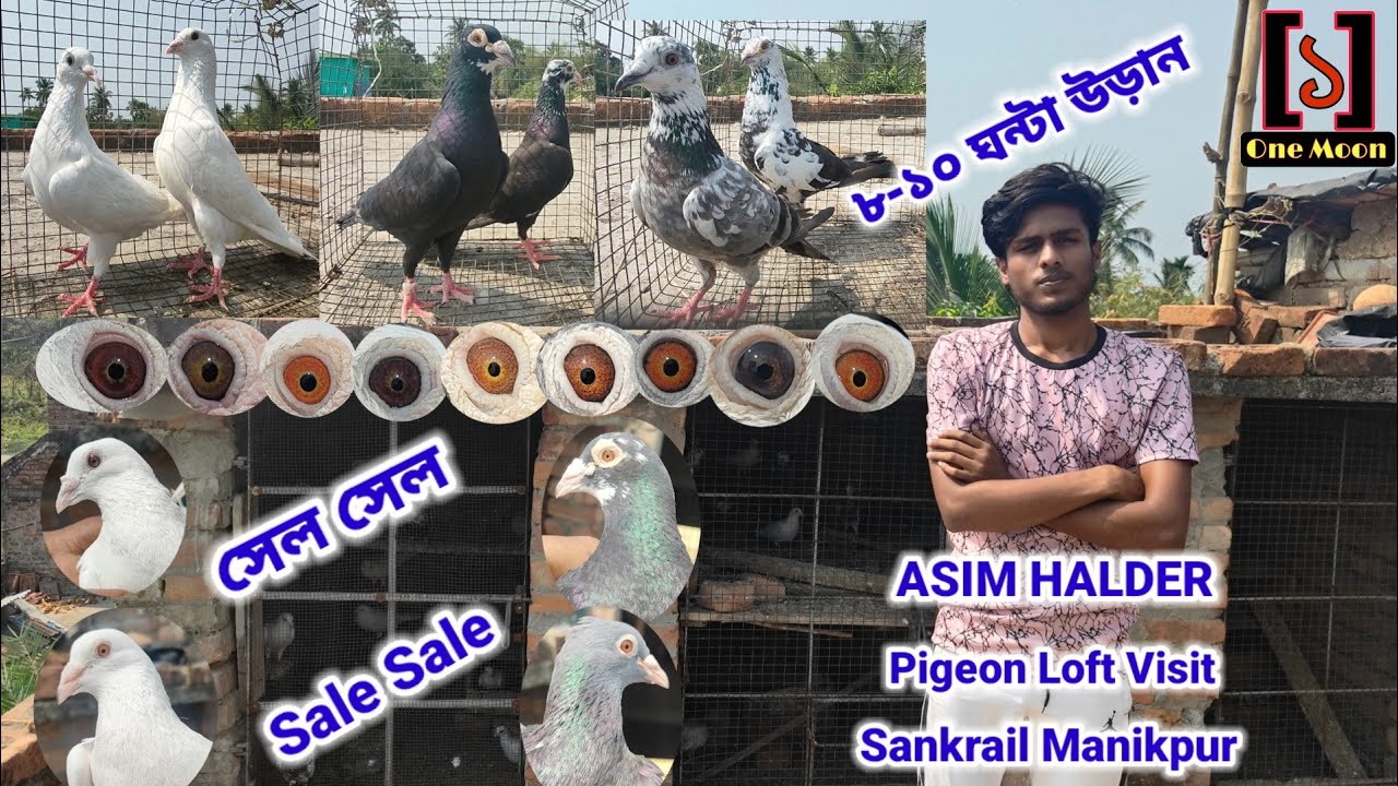 ASIM HALDER BHAI KA PIGEON LOFT VISIT & SALE | @OneMoon1 - YouTube