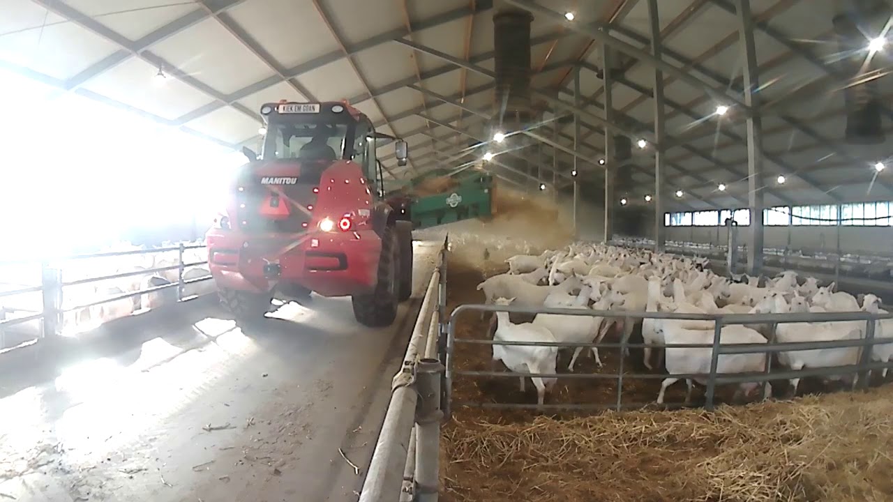 Geiten potstal instrooien met een Spread-a-Bale instrooier! - Bale ...