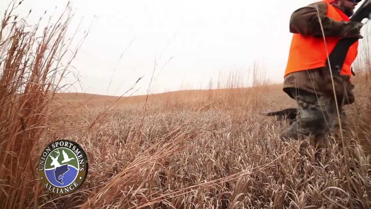 Conservation Minute - 2013 Pheasant Box Build - YouTube