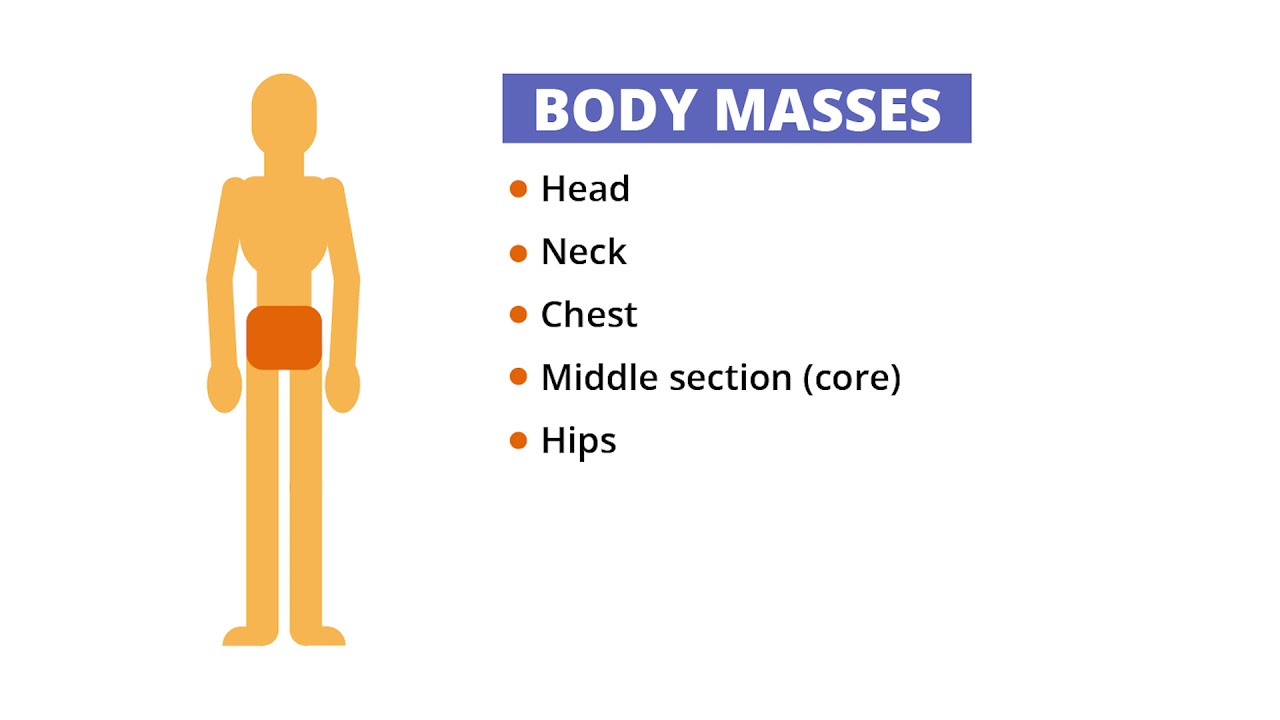 01/08 Body Masses — Character Design: Create Characters with Simple ...