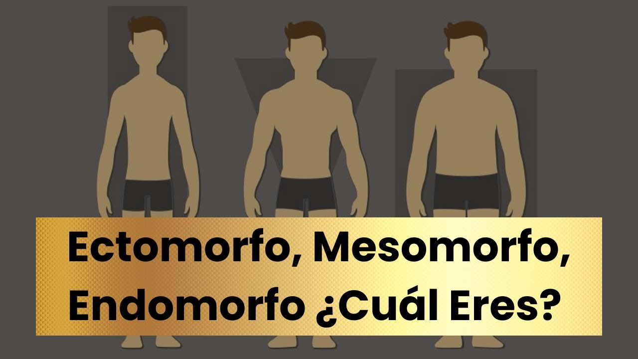 ¿Por qué es importante saber qué tipo de somatotipo soy? - YouTube