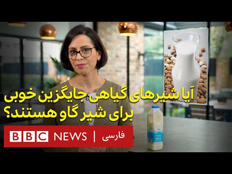 شیر گاو بنوشیم یا شیر گیاهی؟ ۳۷درجه