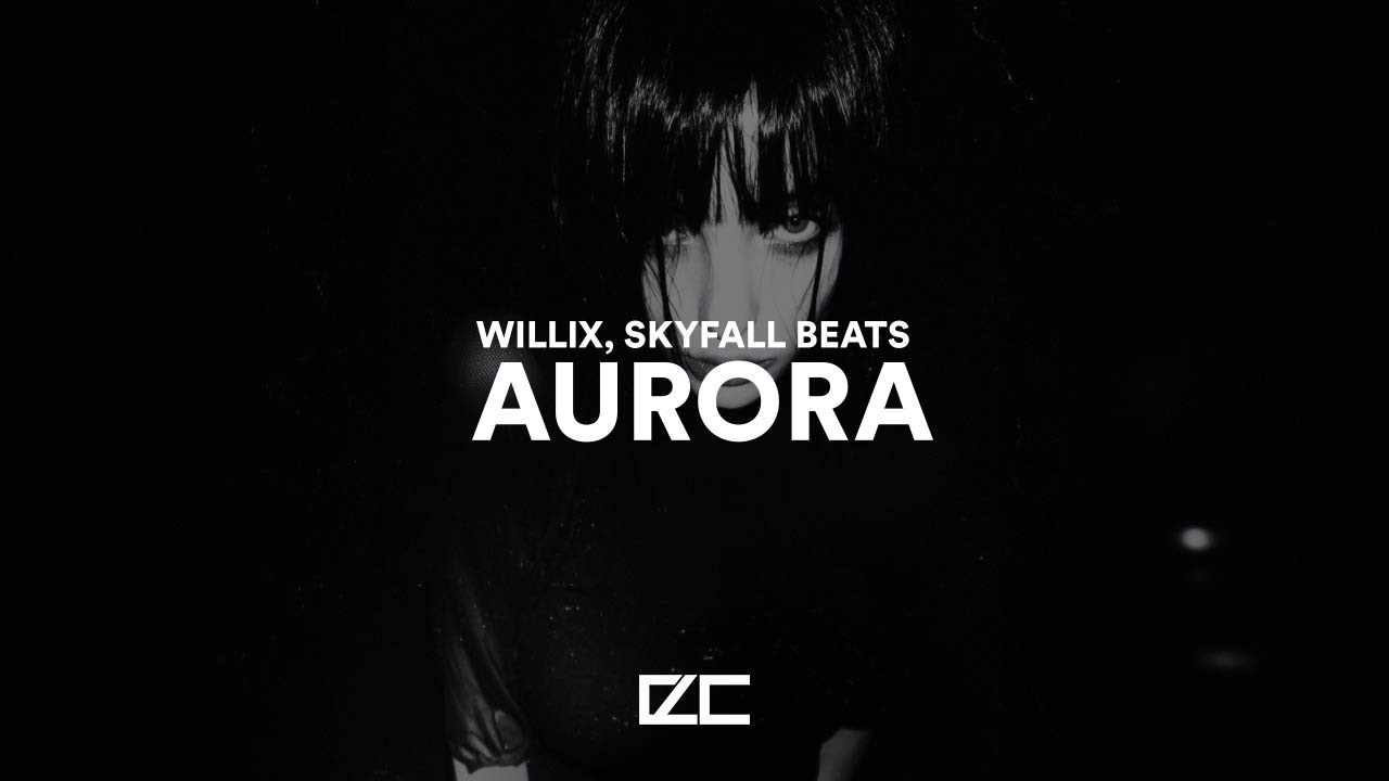 Willix, skyfall beats - aurora - YouTube