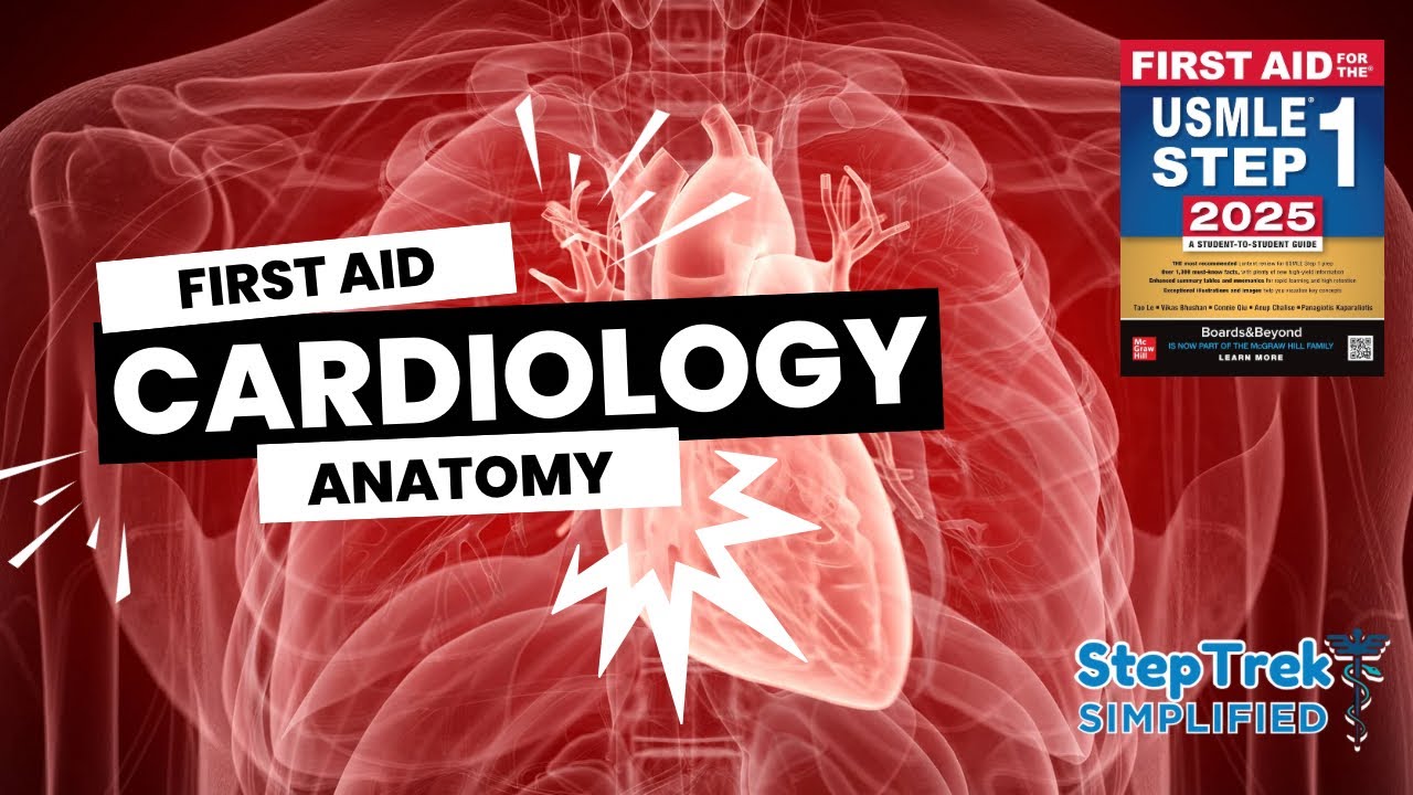 Cardiovascular System Anatomy | High-Yield Concepts of First Aid for ...