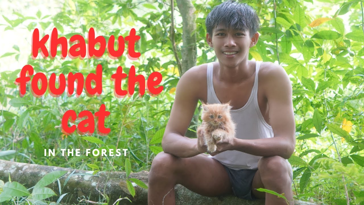 khabut found the cat -help named that cat - YouTube