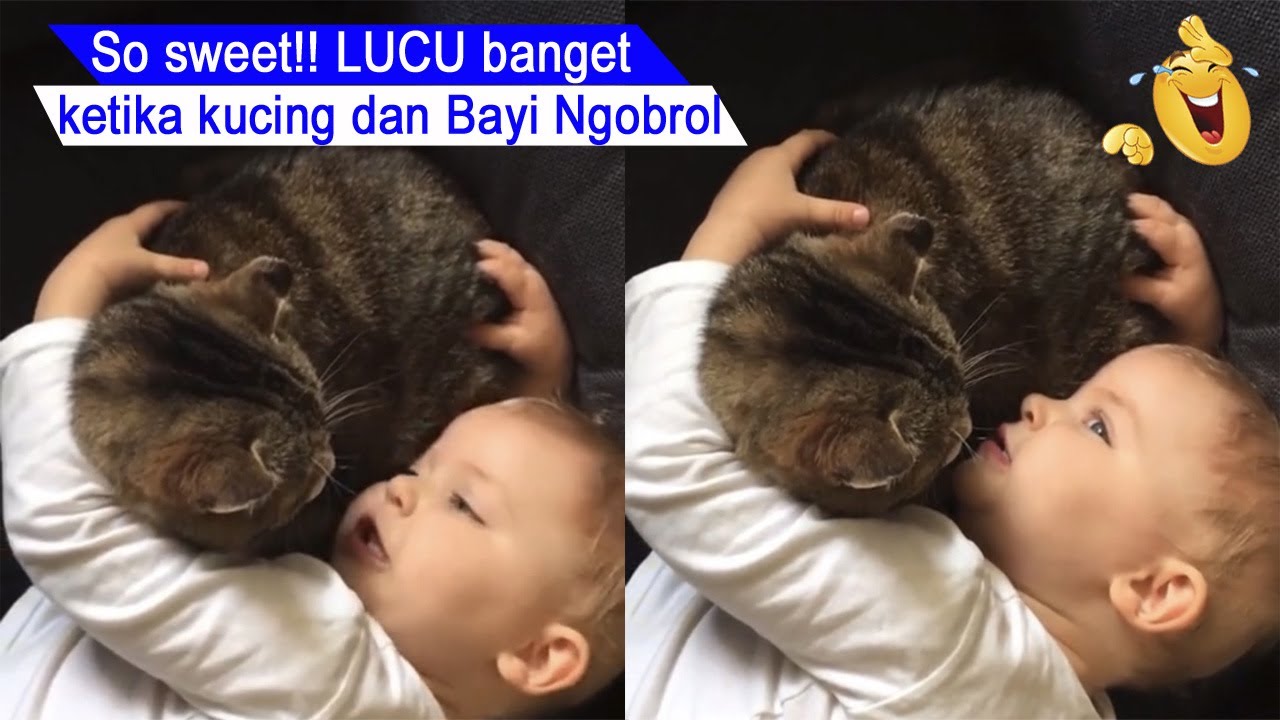 kucing MENGGEMASKAN/curhat dengan bayi bikin geleng geleng kepala ...