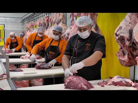 Dünya Döner Tanıtım Videosu