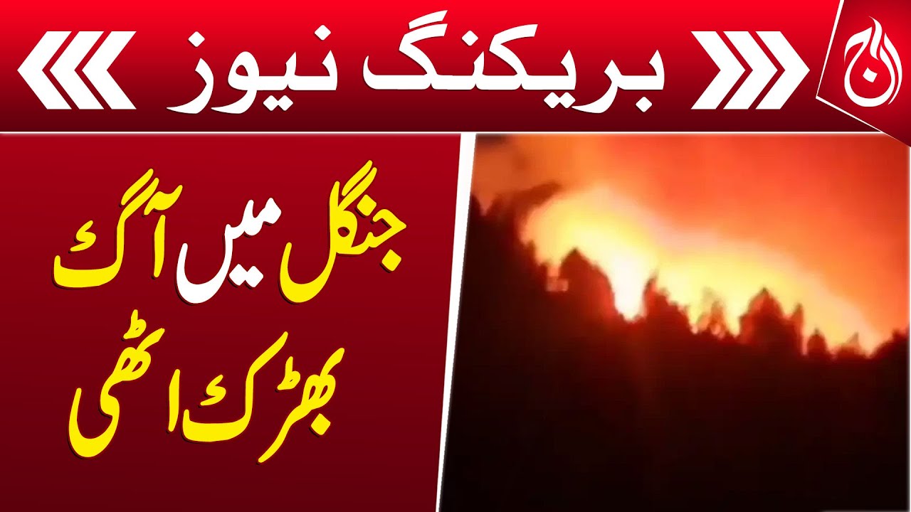 Malakand: Fire breaks out in Bata Piran forest - Breaking News - Aaj ...