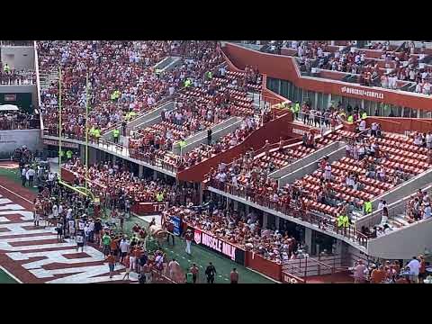 Bevo arrives for University of Texas vs University of Alabama football game - September 10, 2022 ...