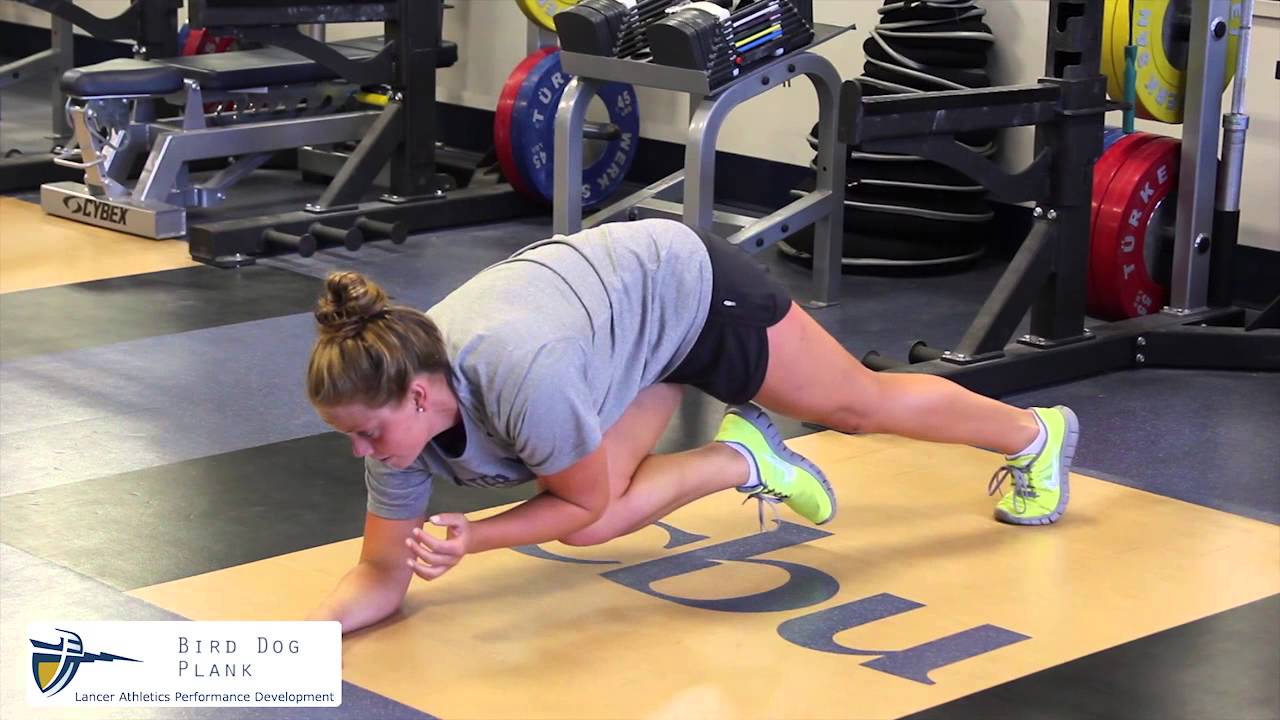 Bird Dog Plank - YouTube