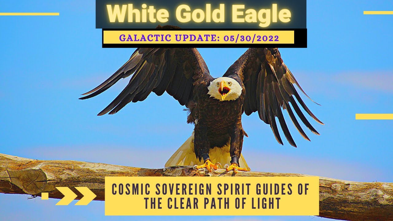 White Gold Eagle Galactic Update 05302022 Cosmic Sovereign Spirit ...