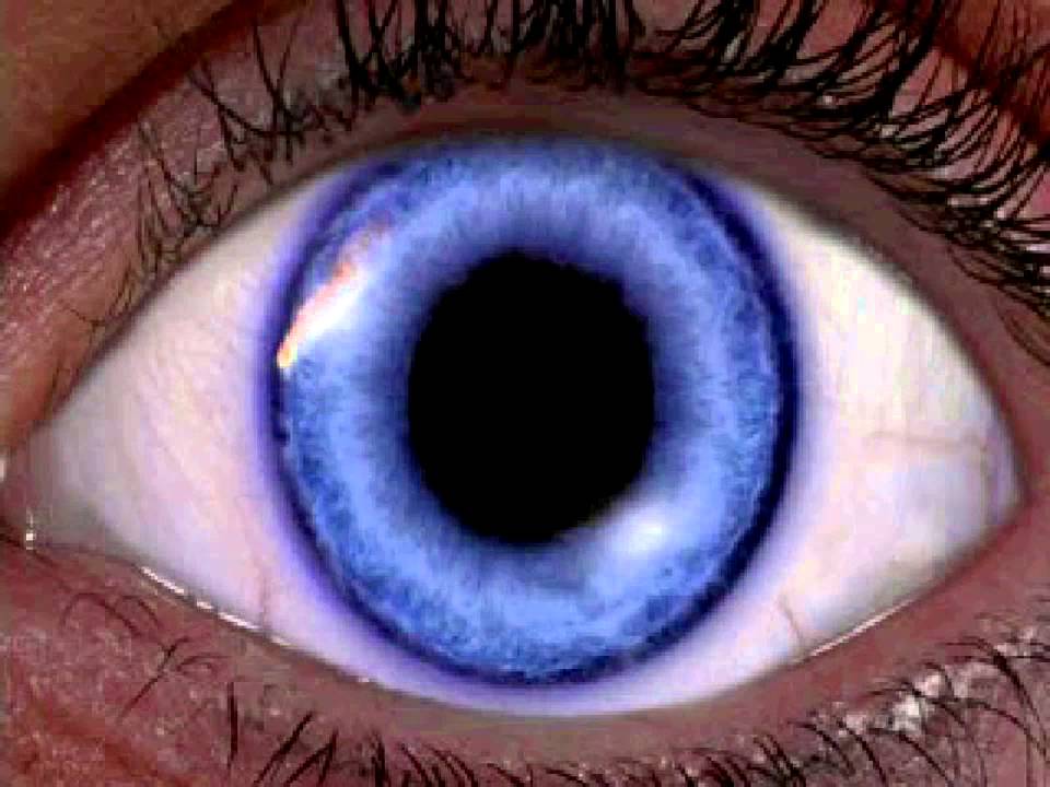 Virgin Interactive/Paradox Development (1998) - YouTube