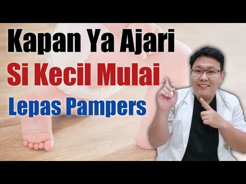 KAPAN ANAK MULAI DIAJARKAN LEPAS PAMPERS - ENSIKLOPEDIA DOKTER