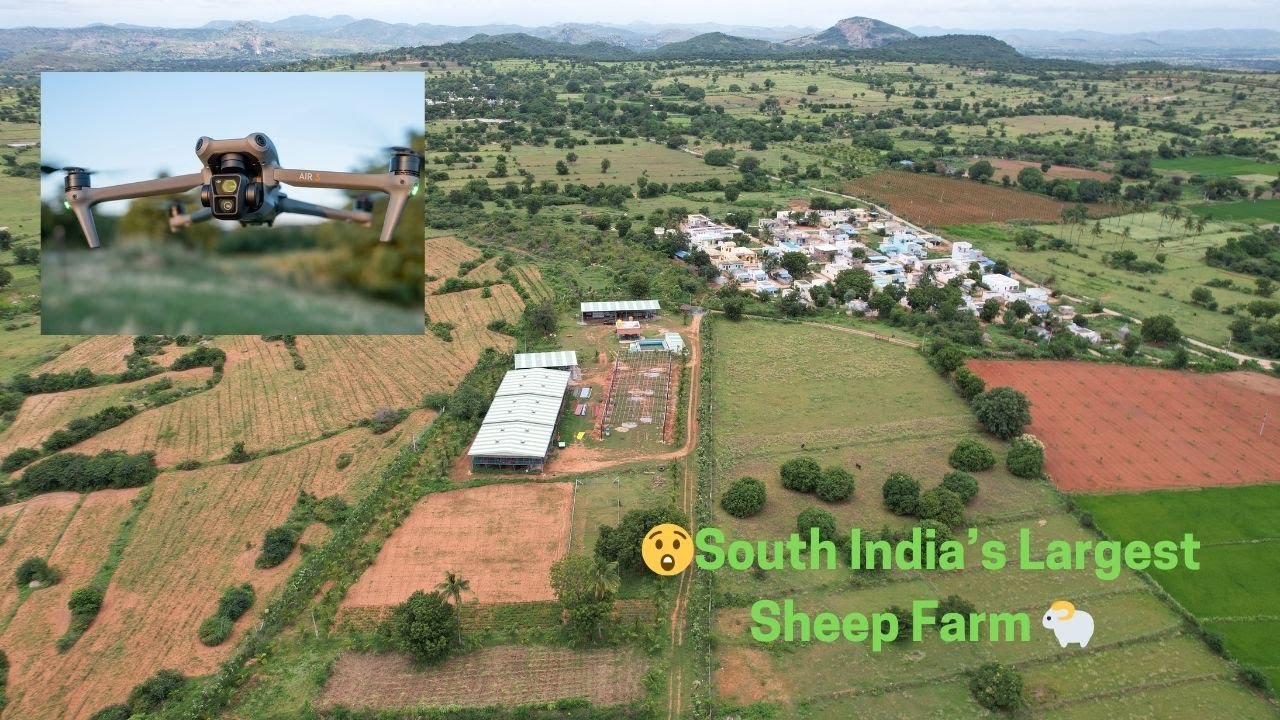 Pandava Sheep Farm: South India’s Largest Sheep Farm || 4K Cinematic ...