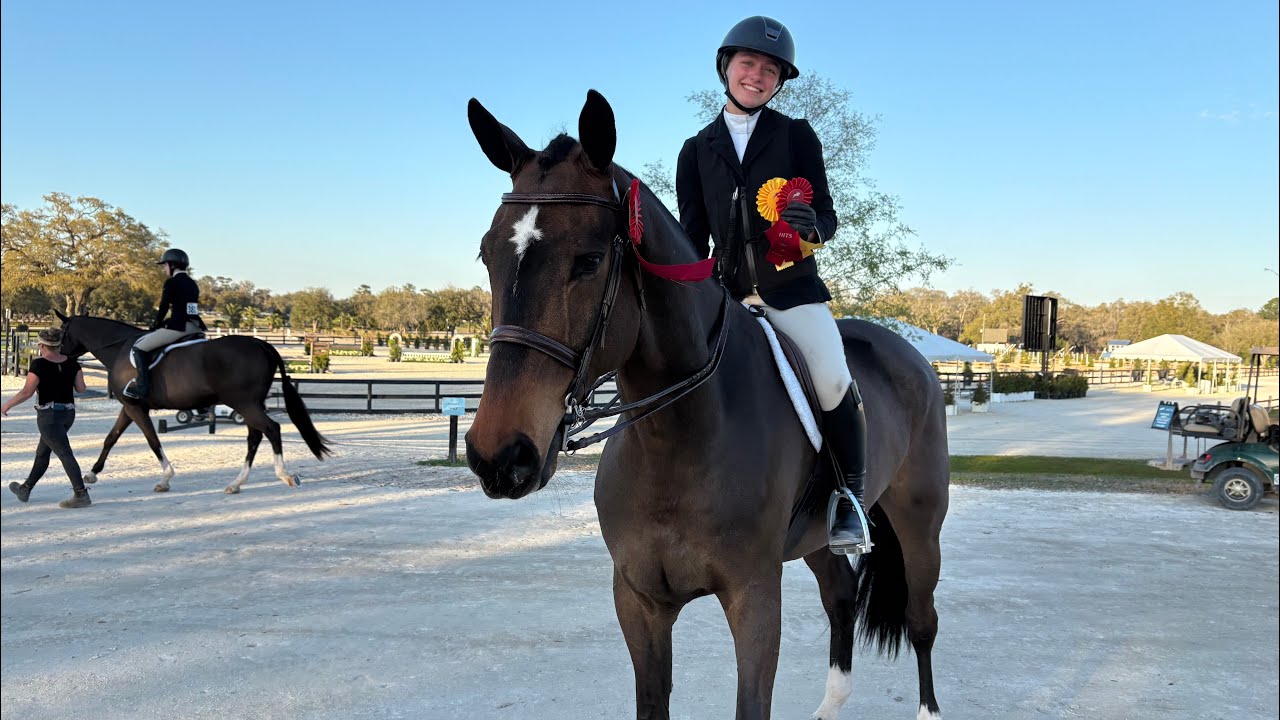 Zo Beauty,Hits post time farm week VII,March 2025,3'3 large junior ...