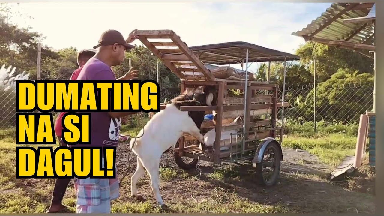 DUMATING NA SI DAGUL! - YouTube