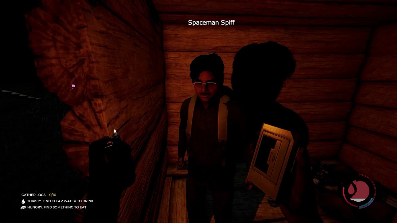The Forest Experience - YouTube