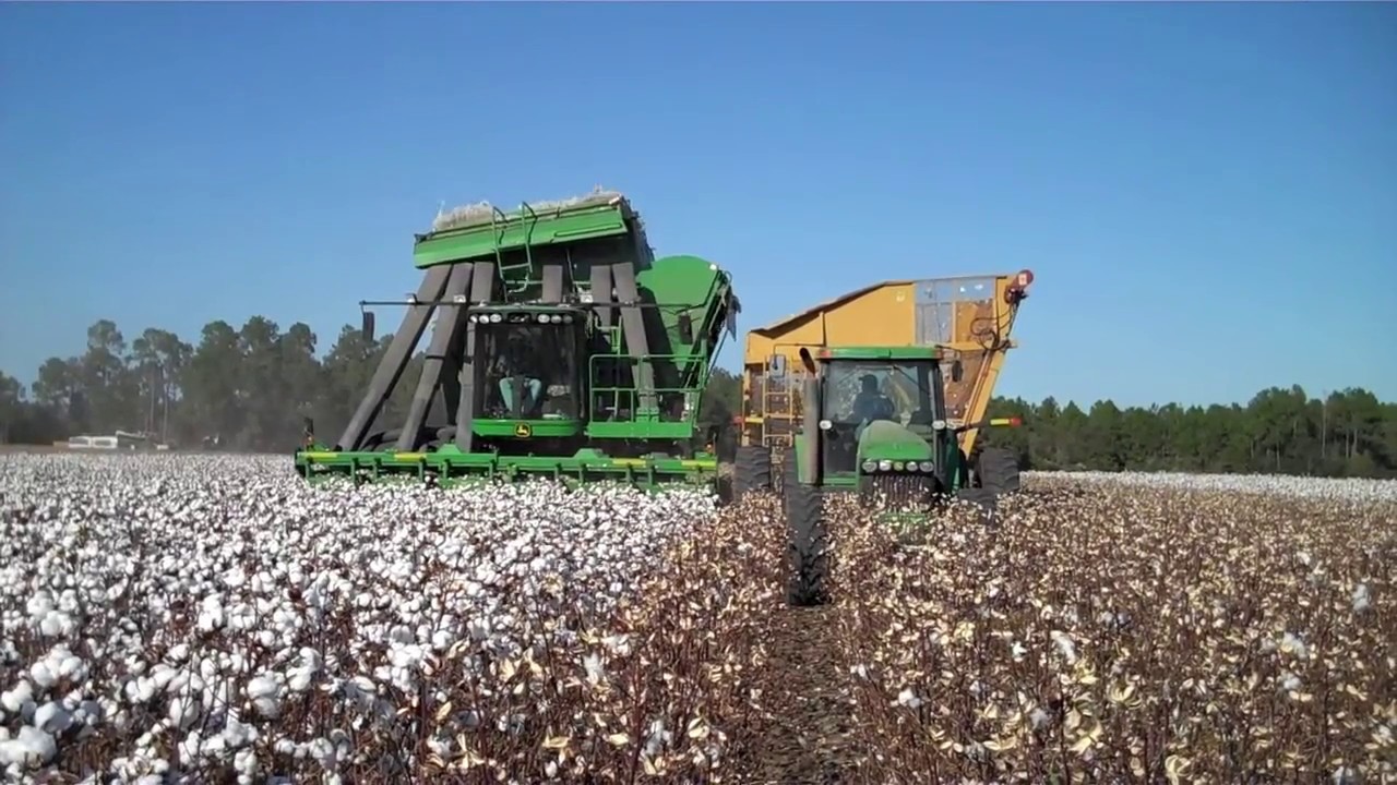 Picking Cotton machine - YouTube