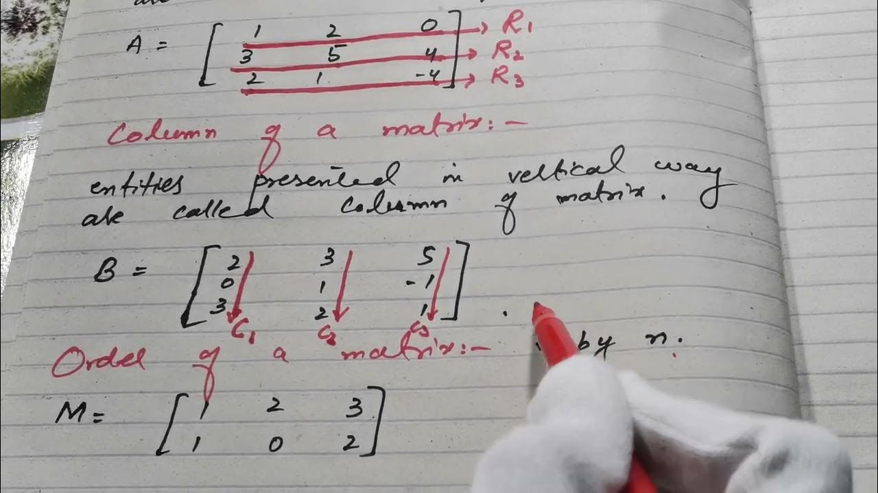 row matrix and column matrix class 9th mathematics - YouTube