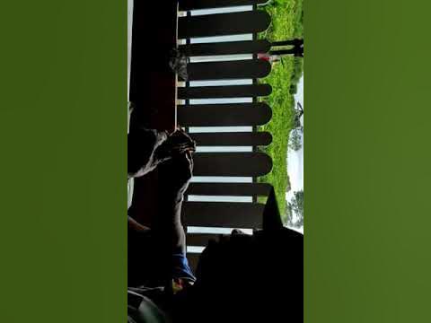 resto Jawa kemuning - YouTube