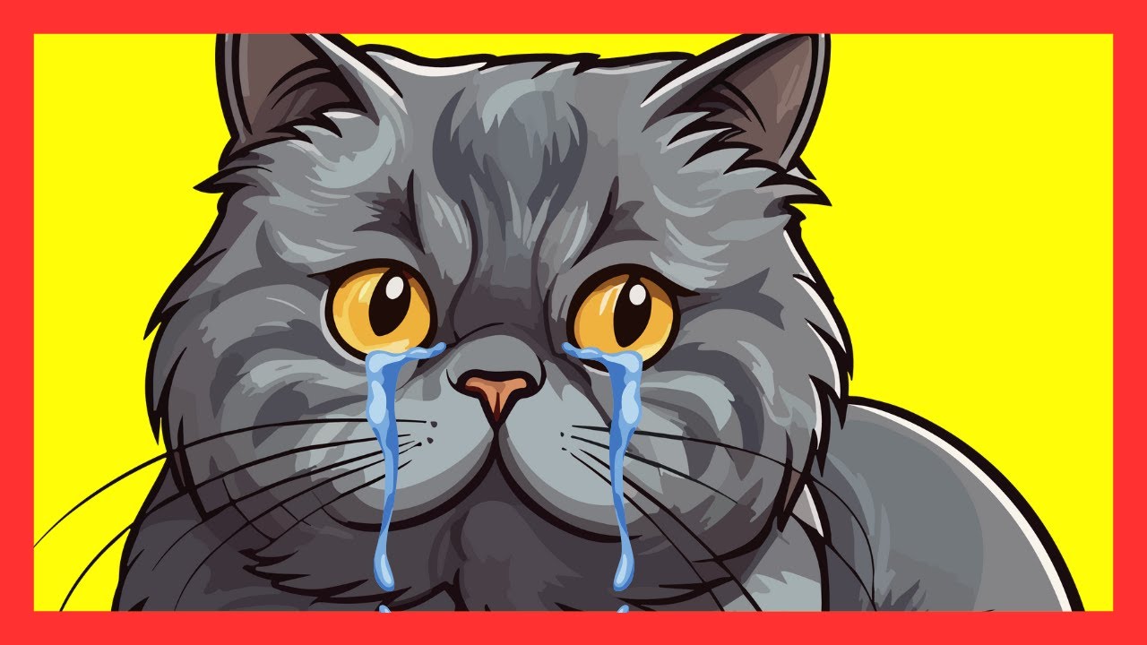 🐈🚨 TOP 10 Signs Your Cat Is CRYING for HELP! 🐈🚨 - YouTube
