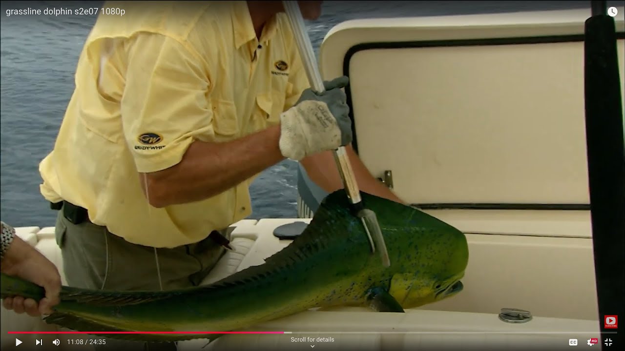Catching Dolphin on the Grassline: Ocean Fishing Tips for Big Catches ...