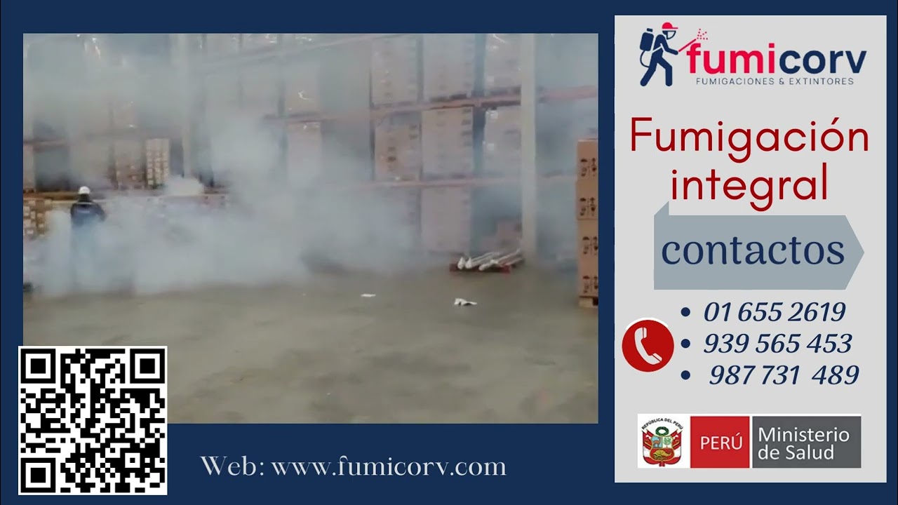 FUMIGACIÓN CON HUMO - YouTube
