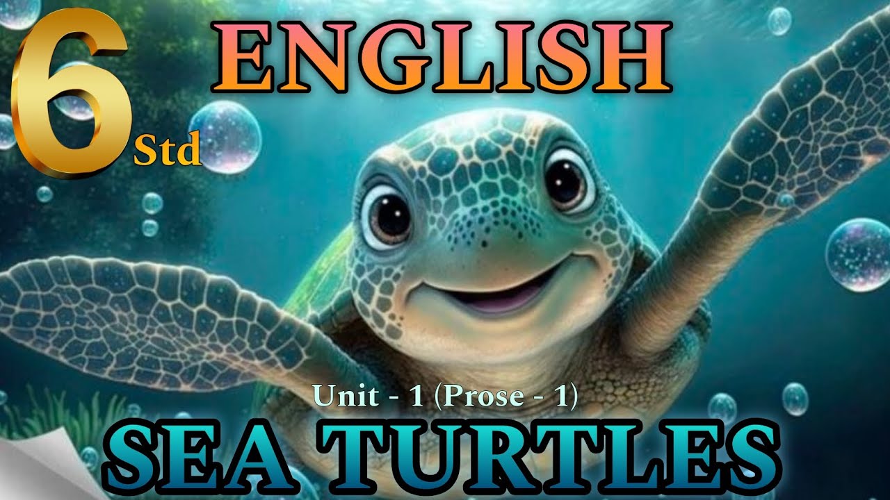 6th Std English - Term 1 - SEA TURTLES 🌊 Unit - 1 | Prose - 1 # ...