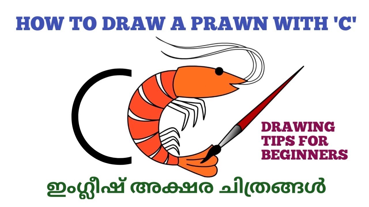 ഇംഗ്ലീഷ്അക്ഷരചിത്രങ്ങൾ-38. How to Draw a Prawn. Draw a Prawn with 'C ...