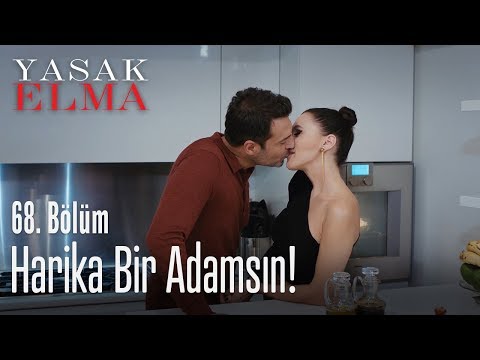 Ender aşka geldi - Yasak Elma 68. Bölüm