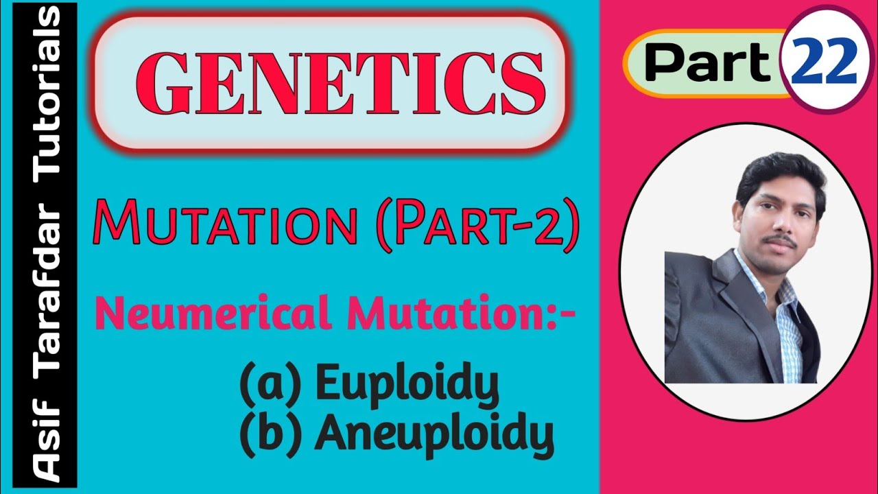 Genetics-Mutation (Part-2)-Chromosomal Mutation-Numerical Mutation ...