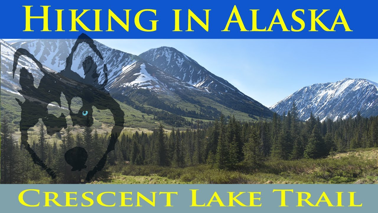 Hiking in Alaska (Crescent Lake Trail) - YouTube
