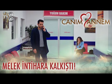 “MELEK İNTİHARA KALKIŞTI!” - Canım Annem