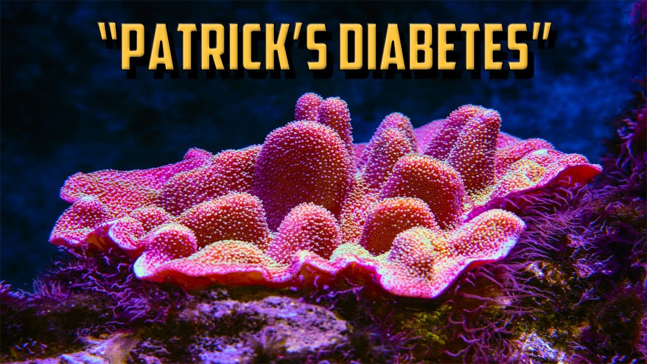 "Patrick's Diabetes" Spongebob Squarepants Creepypasta - YouTube