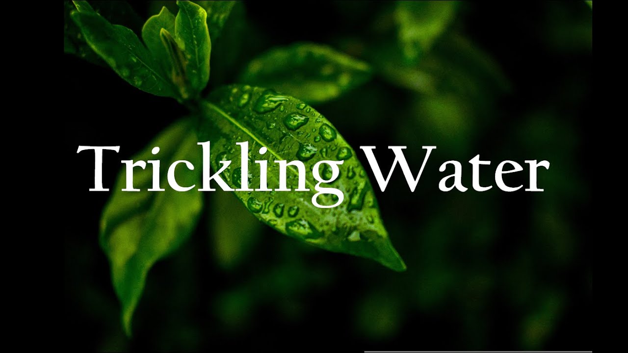 🎧Gentle Water Sound - Water ASMR - Trickling Water | Positive Energy ...