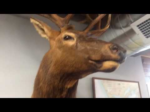 Take a look inside Johnson's Great Outdoors