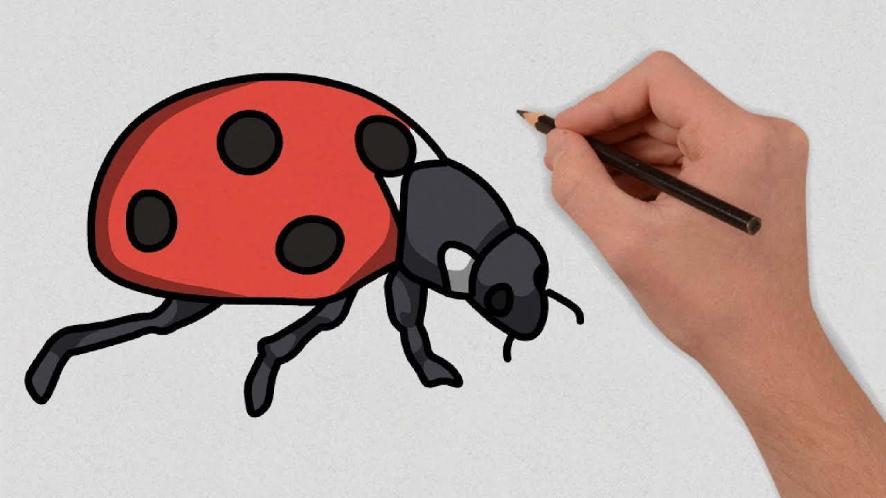 How to draw a Ladybug Step by Step | Easy Ladybug Drawing Lesson ...
