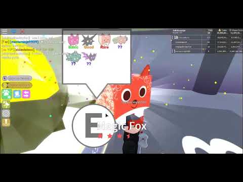 pet sim 1 - YouTube