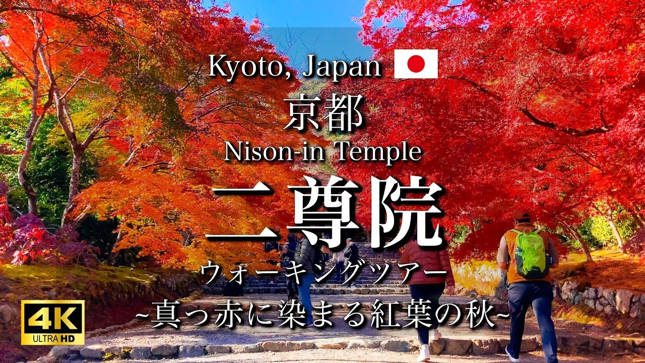 Autumn Leaves at Nison-in Temple in Kyoto, Japan | Sightseeing spots in ...